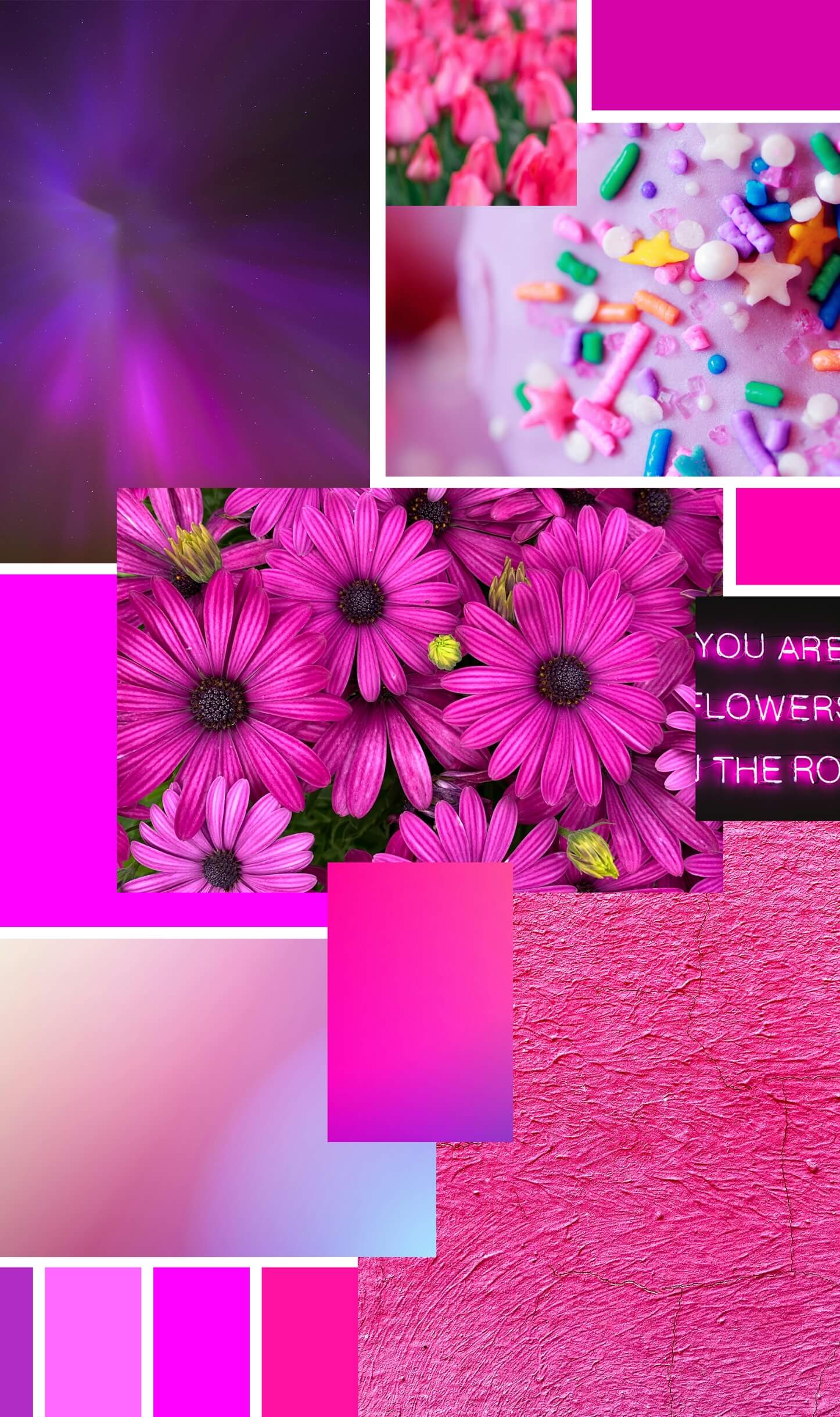 Wat is de betekenis van de kleur magenta