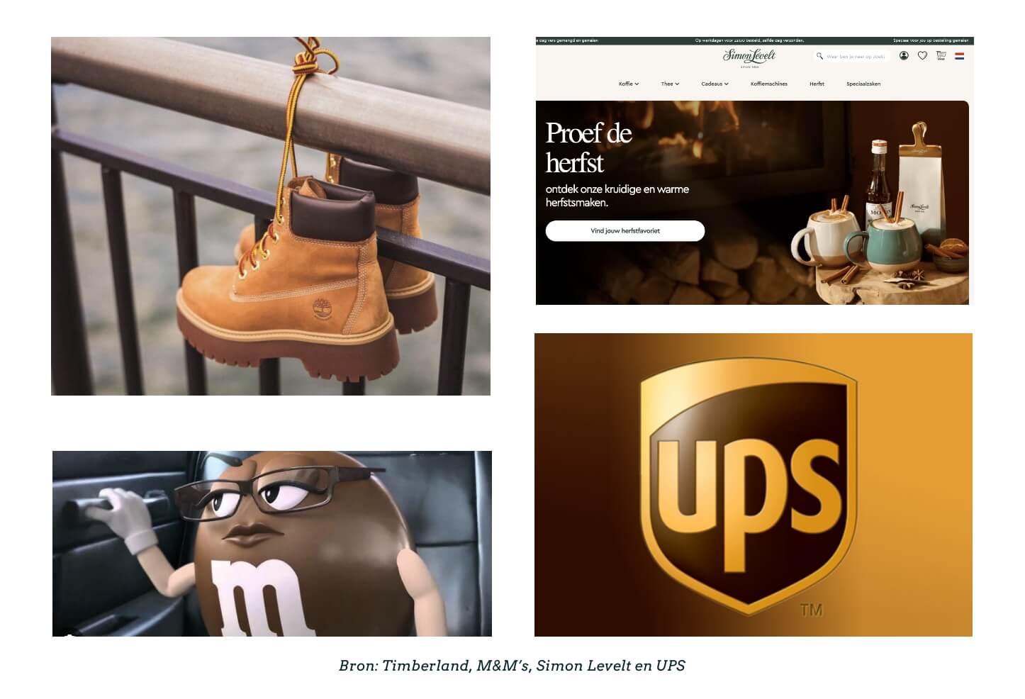 Wat is de betekenis van de kleur bruin